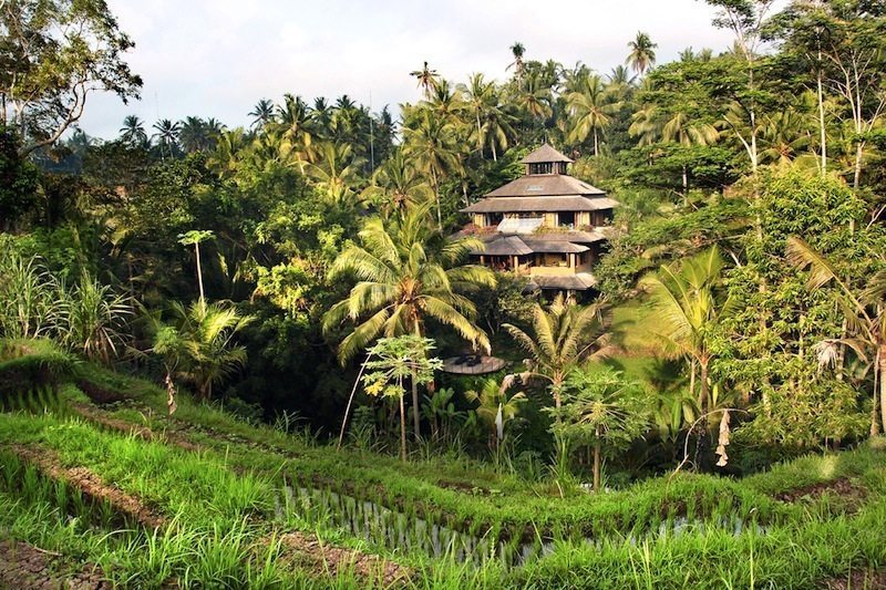 Rainforest Villas | Bali | Ministry of Villas