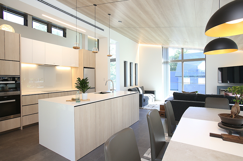 Eminence | Goryu, Hakuba | Japan